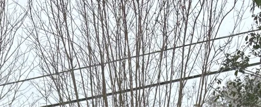 Michael Michael | Published - MakerWorld