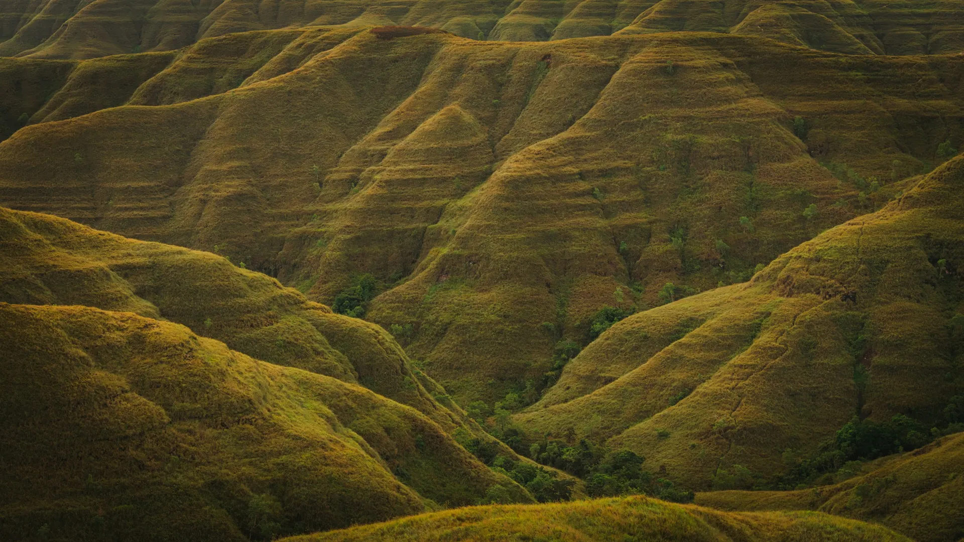 Alessandro Donati | Published - MakerWorld