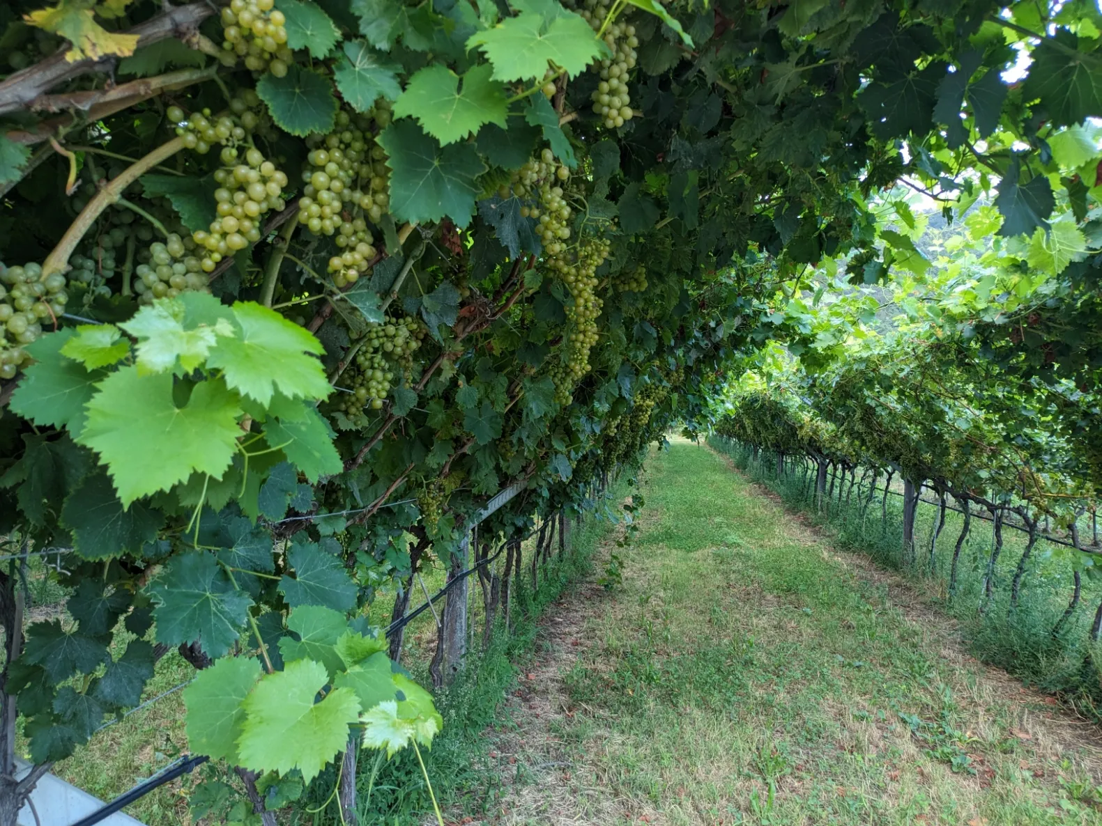 user_2046390922 | Accueil - MakerWorld