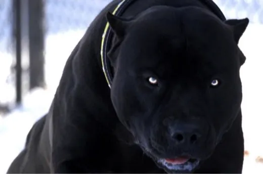 Anthony | Início - MakerWorld