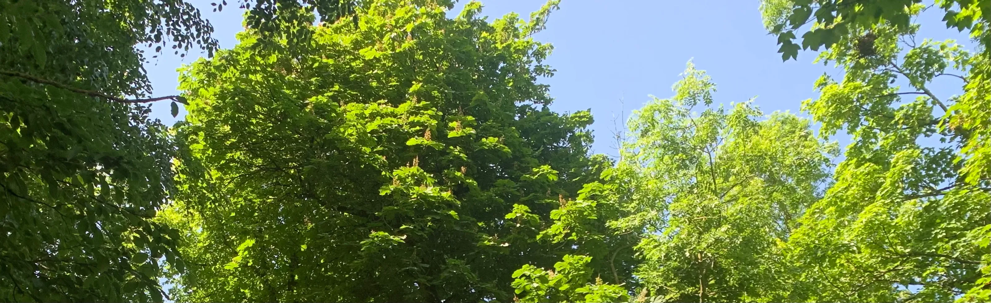 liminil | Início - MakerWorld