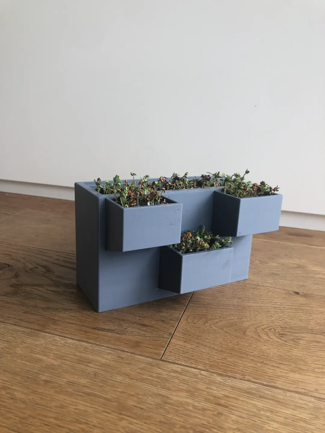 speedy_turlte | Published - MakerWorld