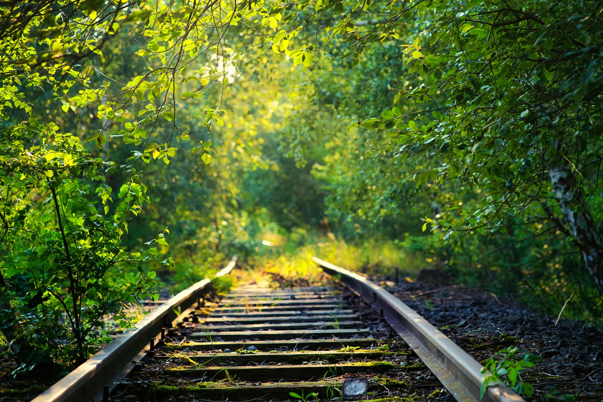 IDIOCRACY | Published - MakerWorld