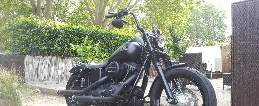 Stee | Publicado - MakerWorld