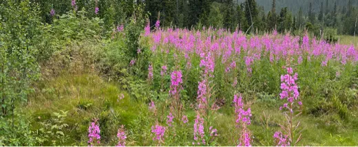 Ronnie | Published - MakerWorld