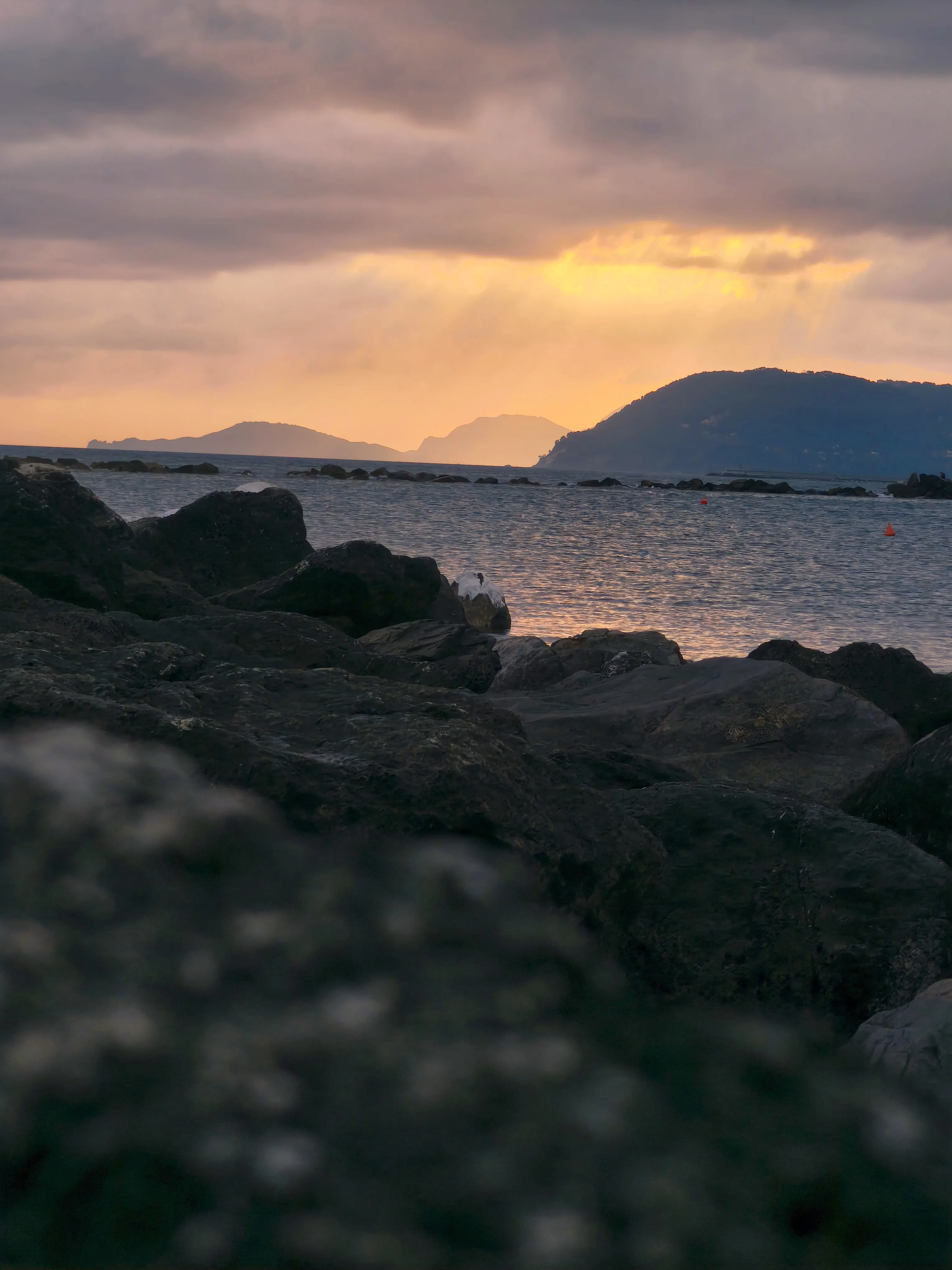 dermann | Collections - MakerWorld