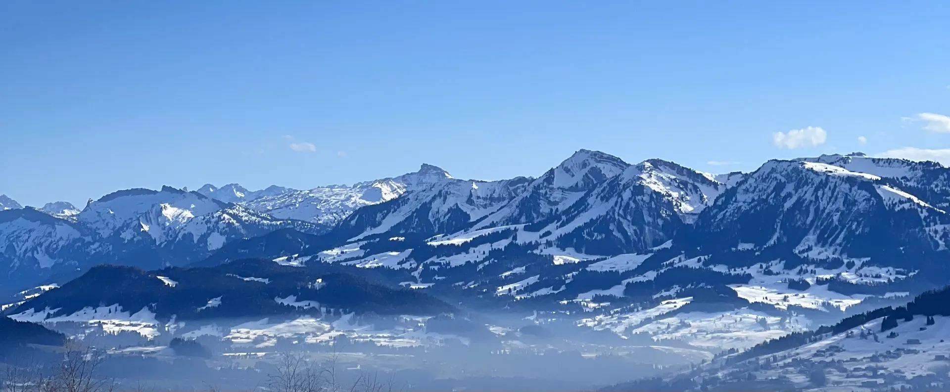 Flavia | Publicado - MakerWorld