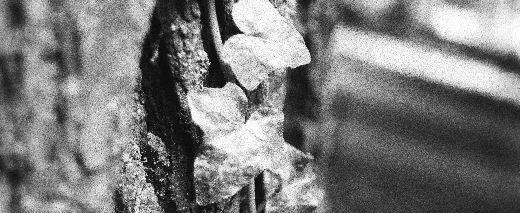 Alex Waisser | Startseite - MakerWorld