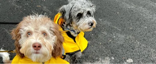 JWow | Startseite - MakerWorld