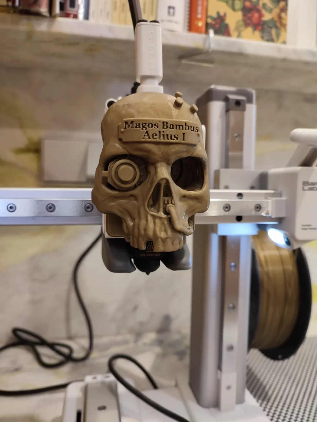 Evasive_Brain | Published - MakerWorld