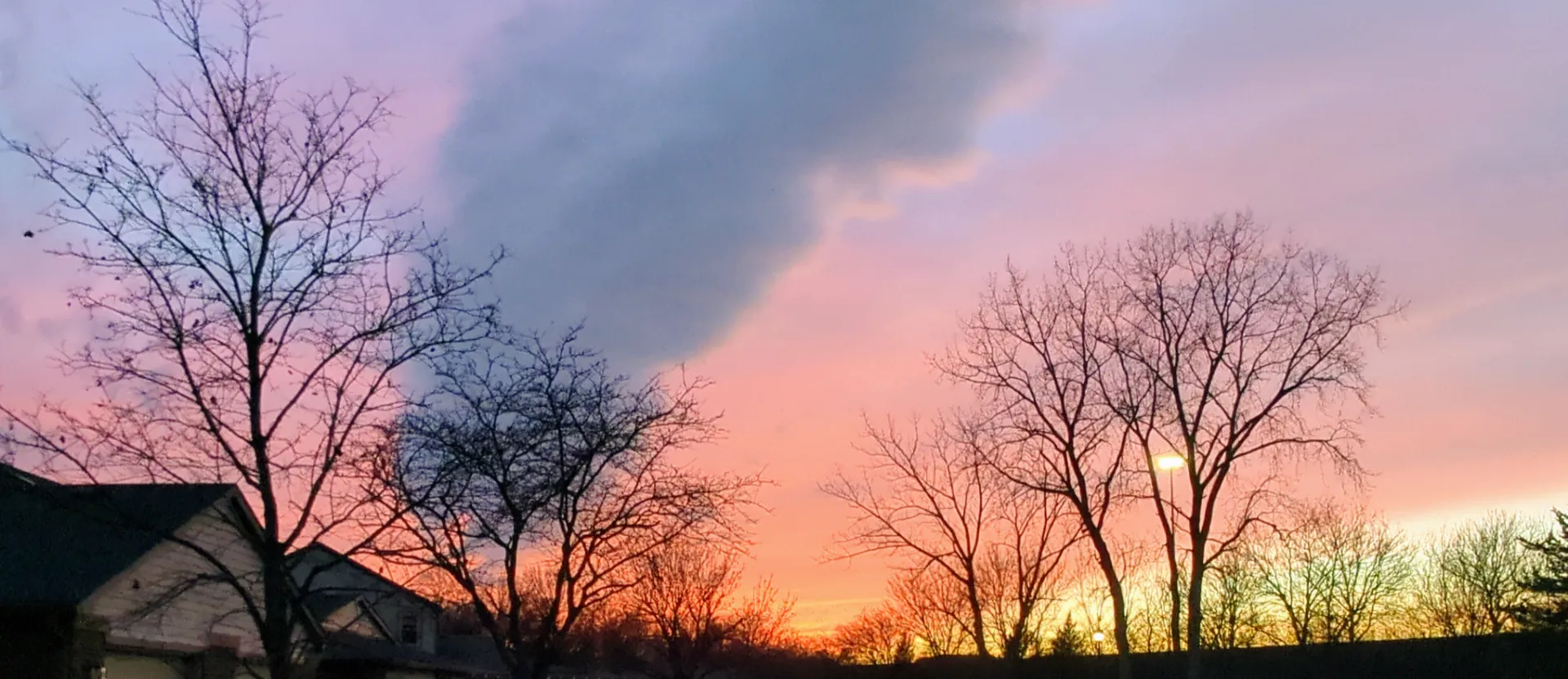 Jazzydog65 | Inicio - MakerWorld