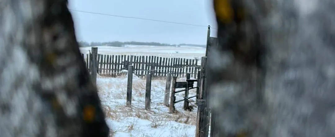 Windrummer | Published - MakerWorld