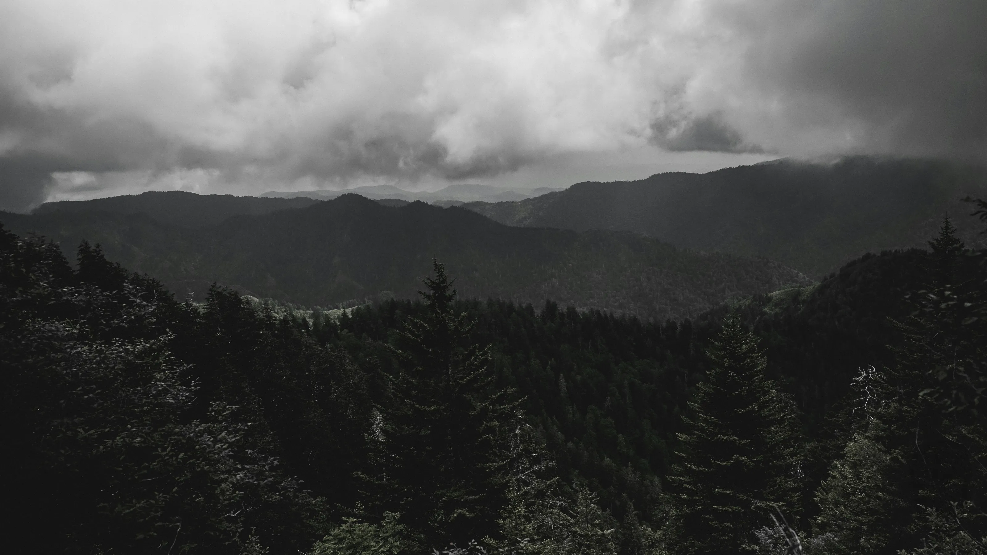 xeqo | Inicio - MakerWorld