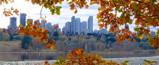 Code_Blue | Inicio - MakerWorld