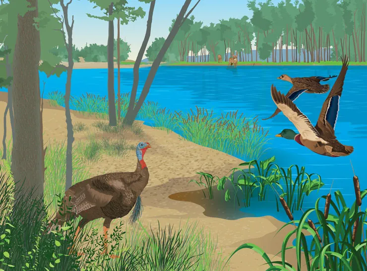 Junkmail48 | Startseite - MakerWorld