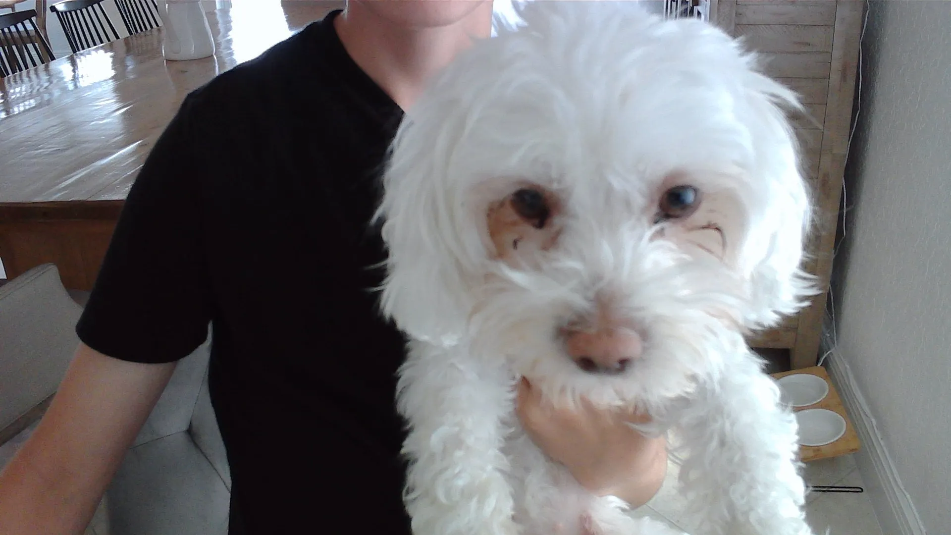 Guy | Startseite - MakerWorld