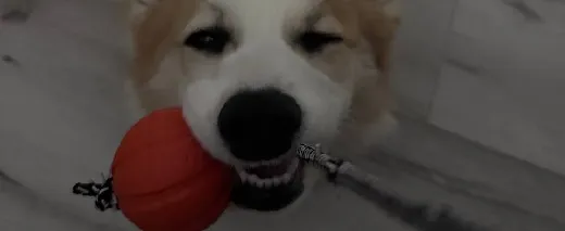 Matviiko | Inicio - MakerWorld