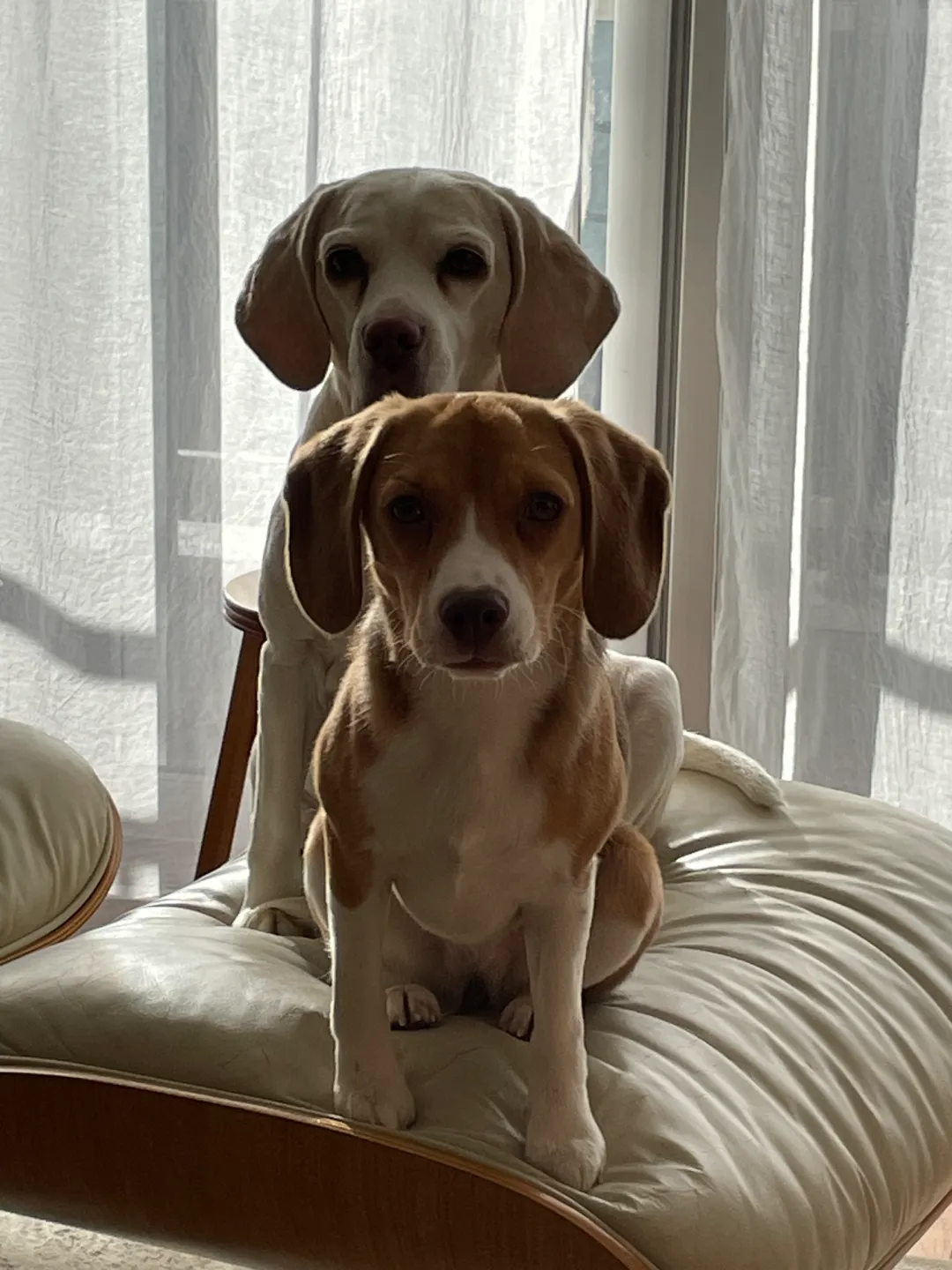 KOUMA 3D LAB | Published - MakerWorld