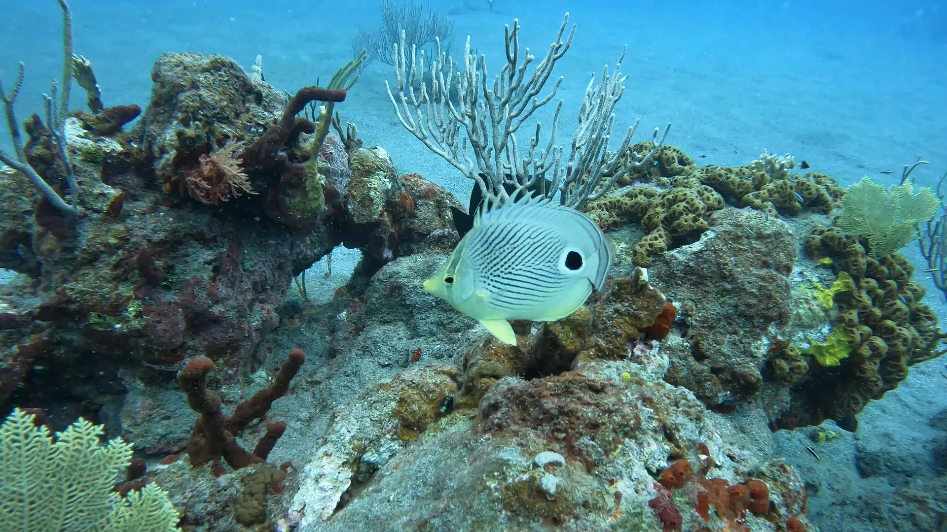 jimbooth97 | Published - MakerWorld