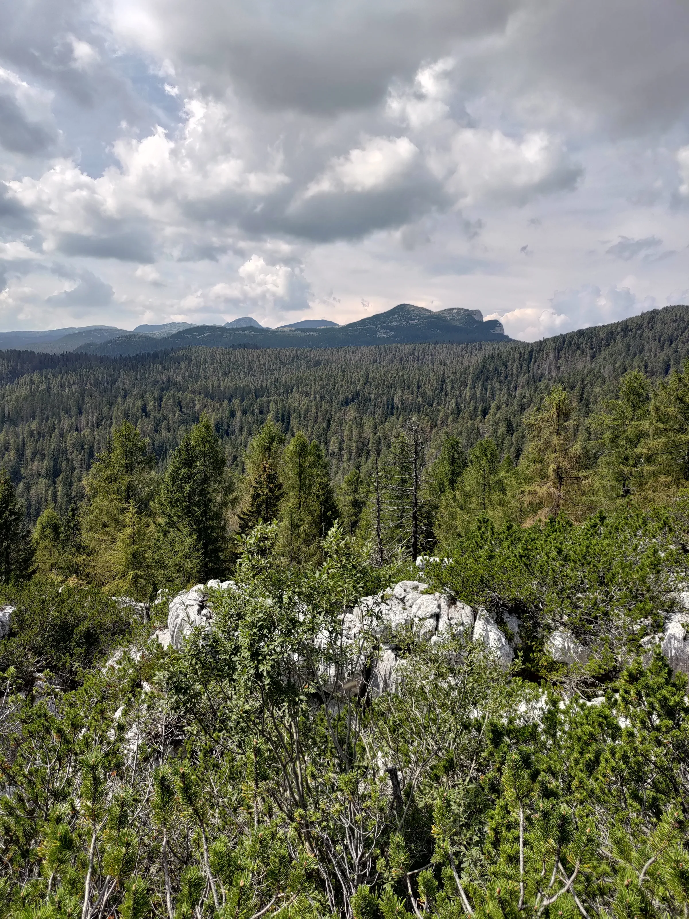 Rocket, no carbs | Início - MakerWorld