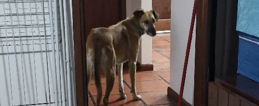 NicolasB18 | Accueil - MakerWorld