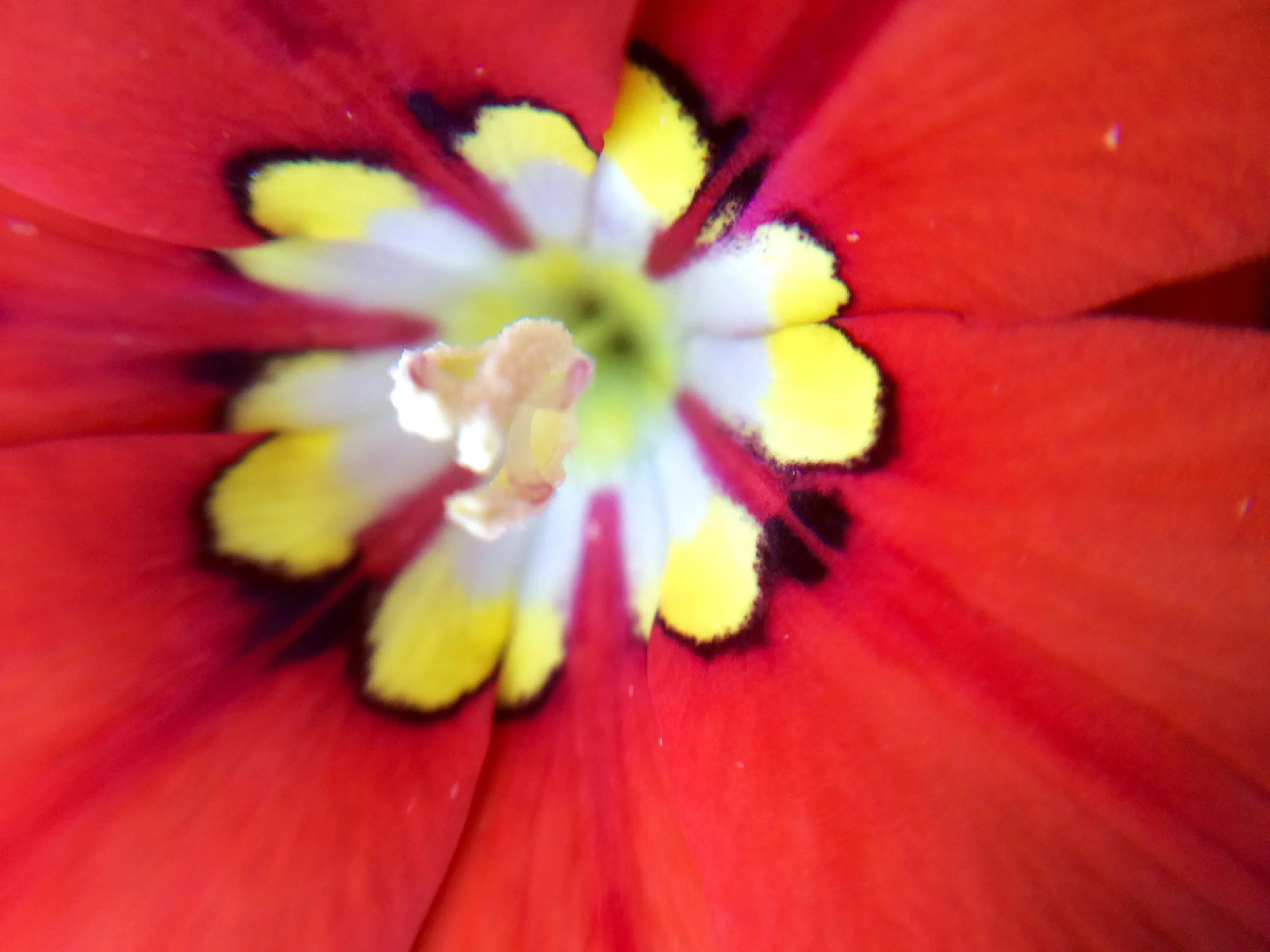 XL | Startseite - MakerWorld