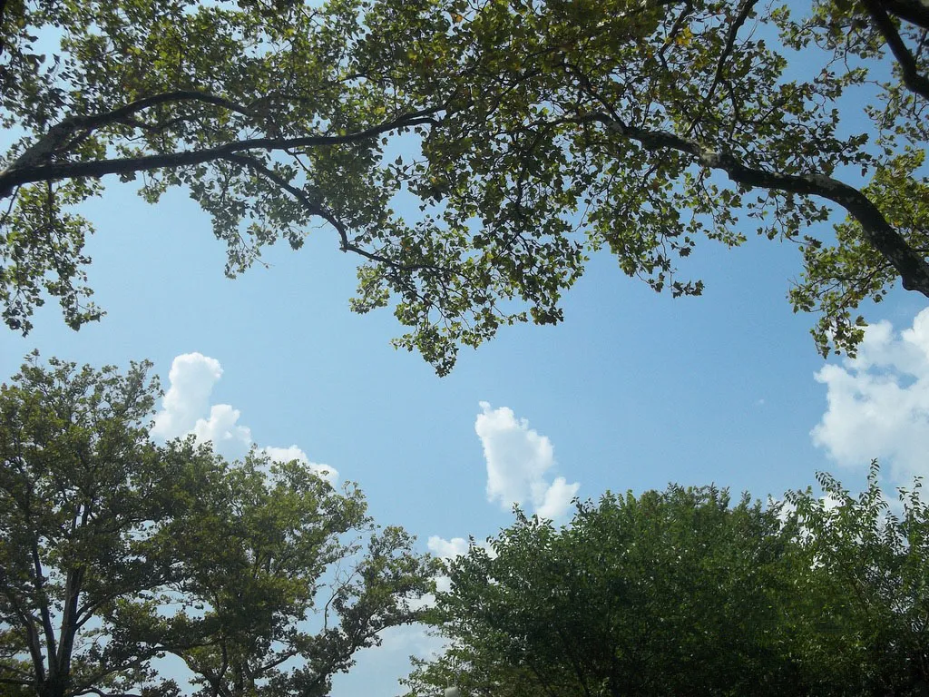 Eris | Collections - MakerWorld