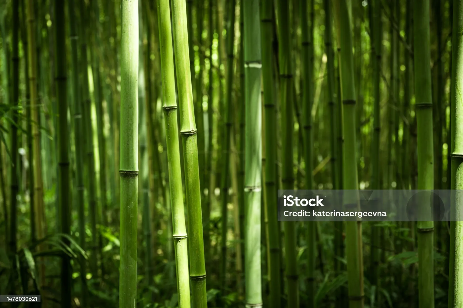 Sorbus | Publicado - MakerWorld