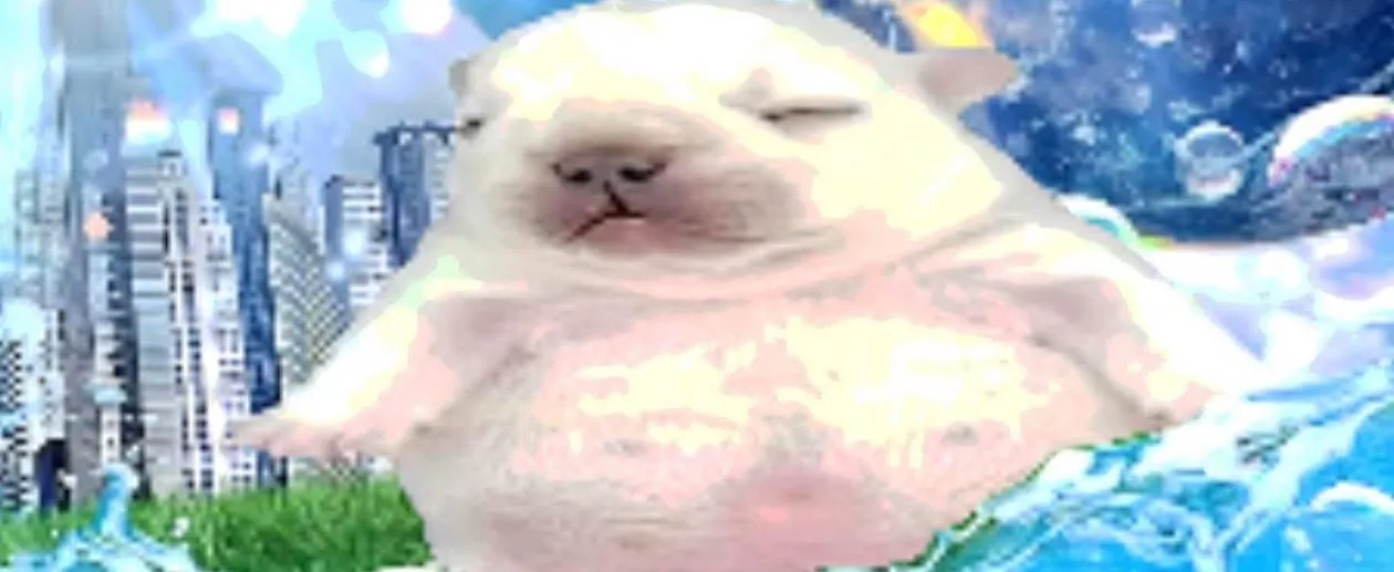 trinkle | Startseite - MakerWorld