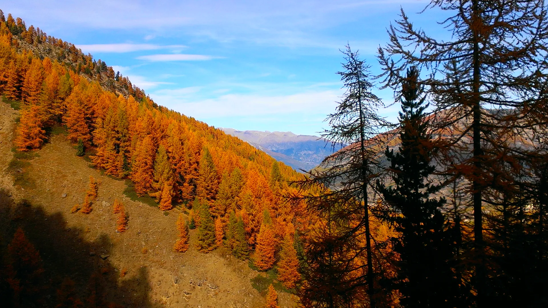 artdelespace | Startseite - MakerWorld