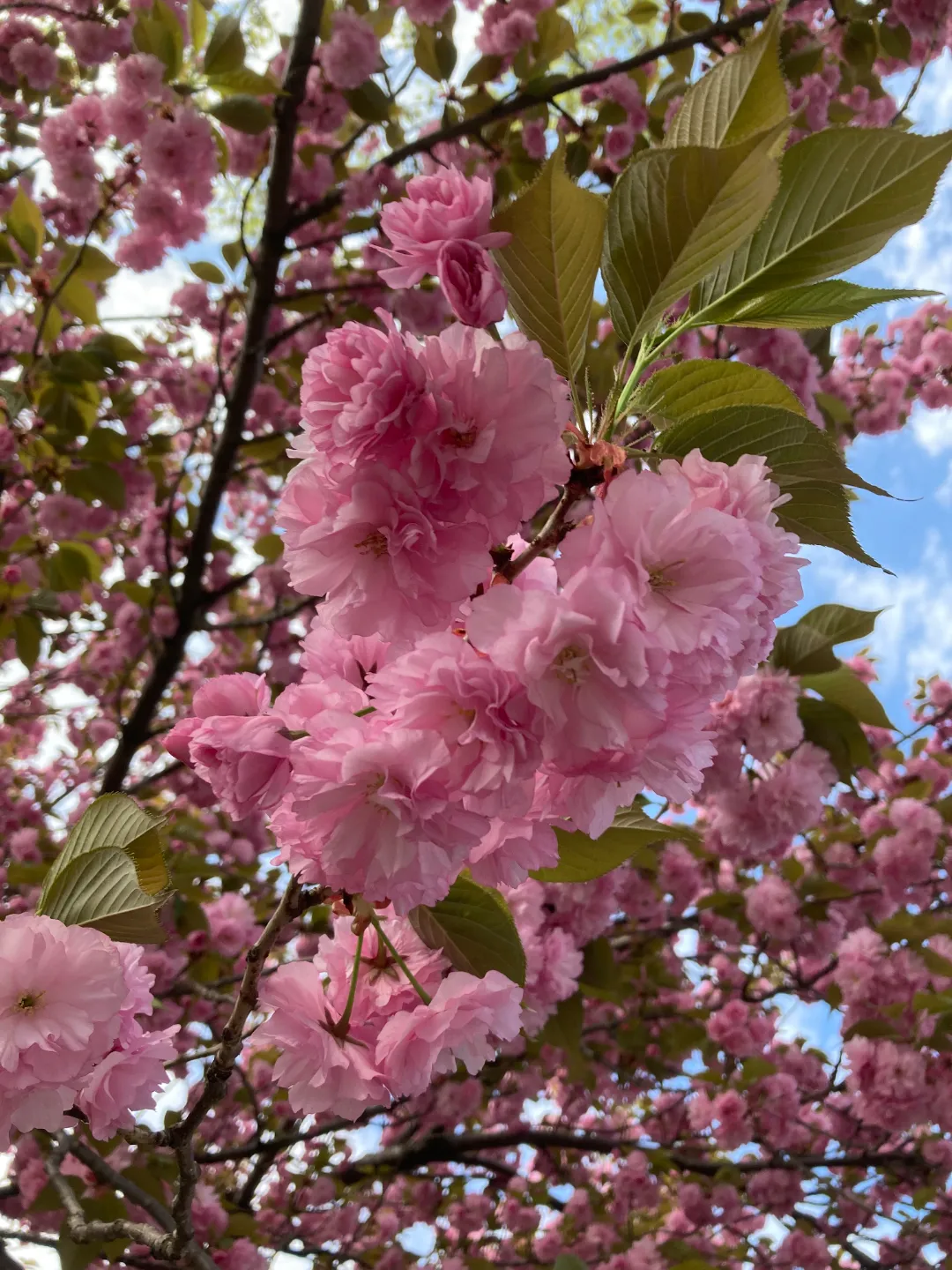 ActuallyAbot | Published - MakerWorld