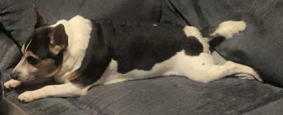 YungDrei | Inicio - MakerWorld