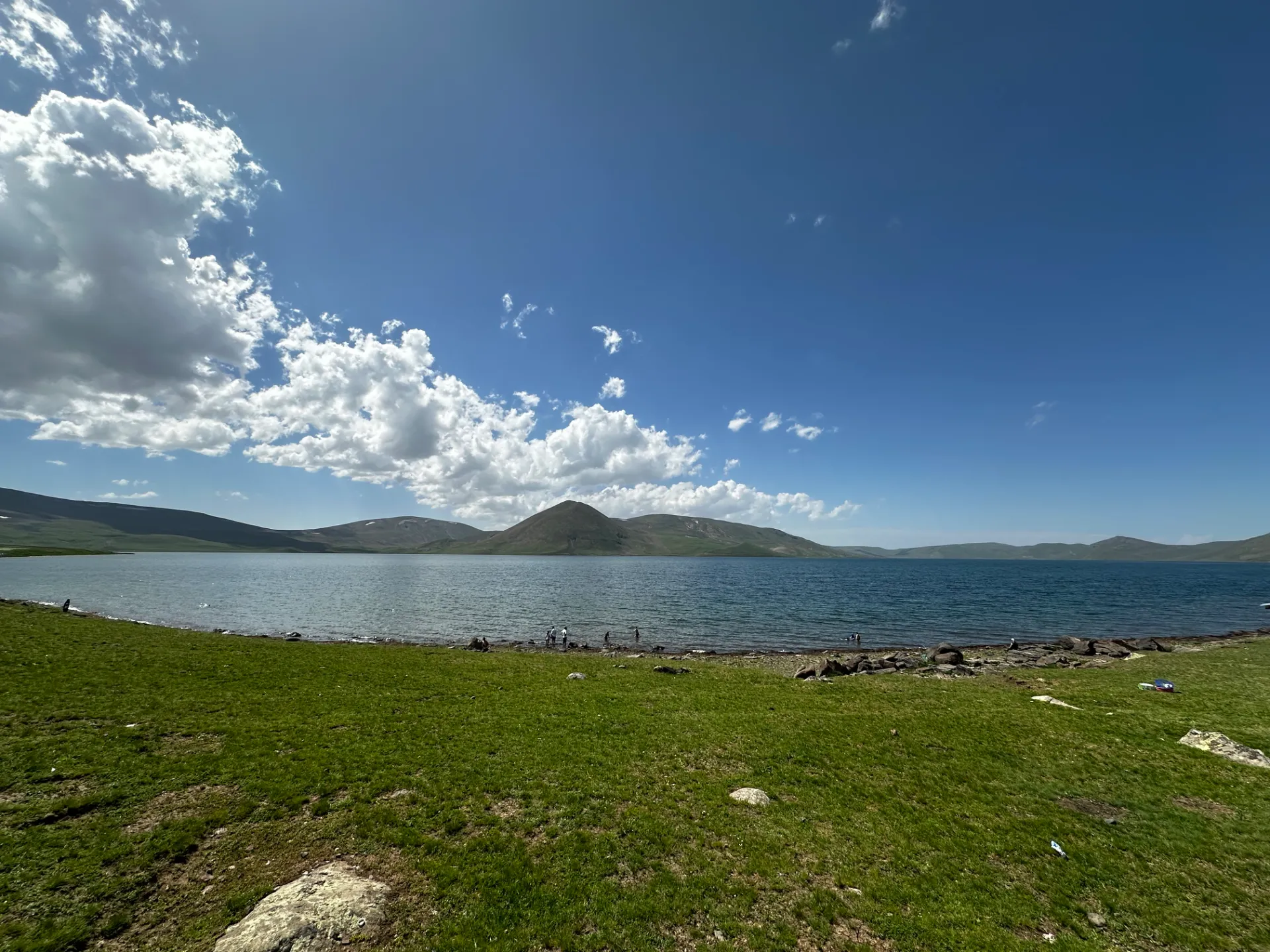 astrobiologist | Published - MakerWorld