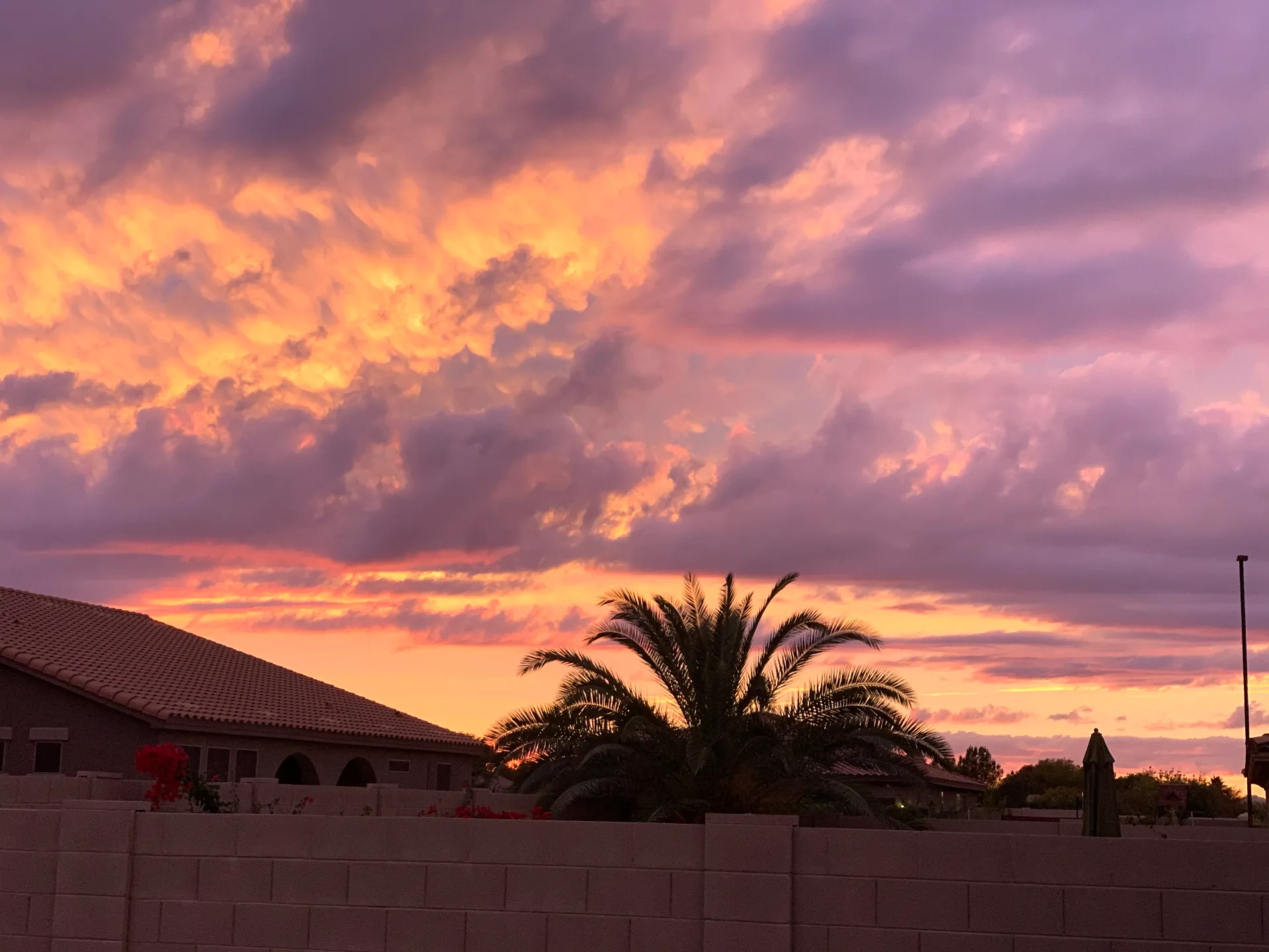 NoodlesLab | Published - MakerWorld