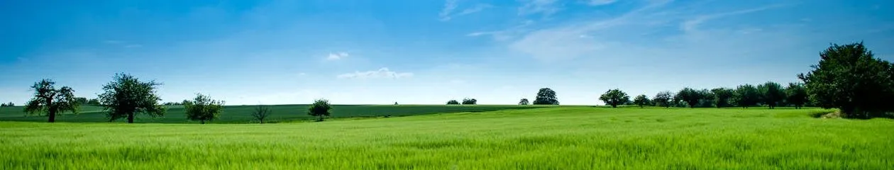 markos | Collections - MakerWorld