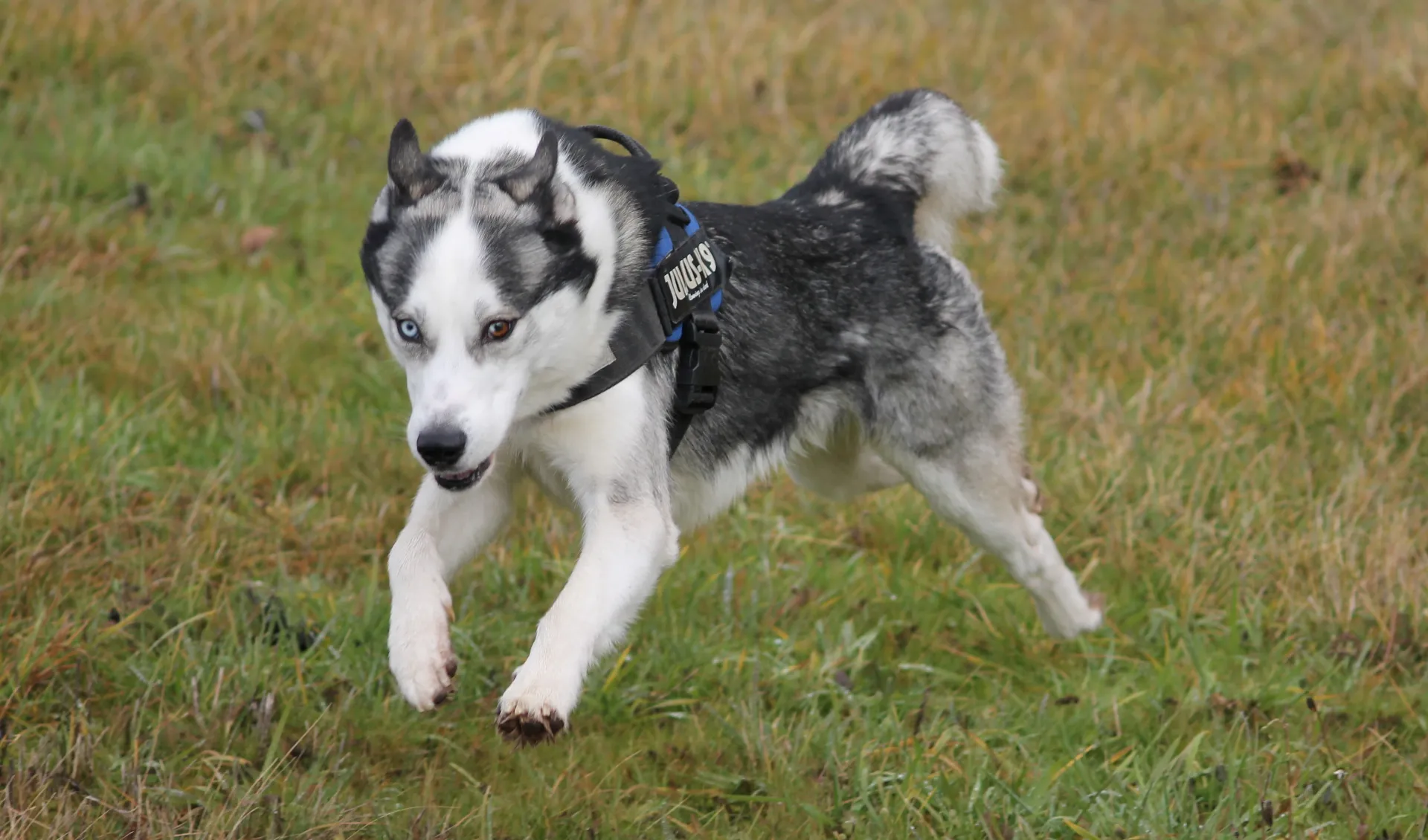 FormFrei3D | Published - MakerWorld