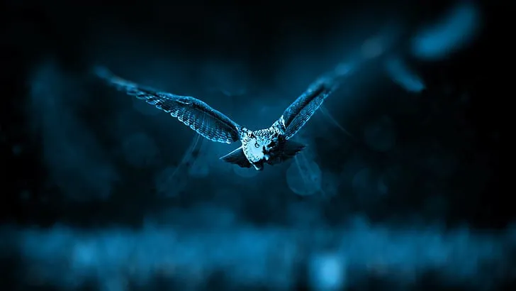 Arctic Owl | Veröffentlicht - MakerWorld