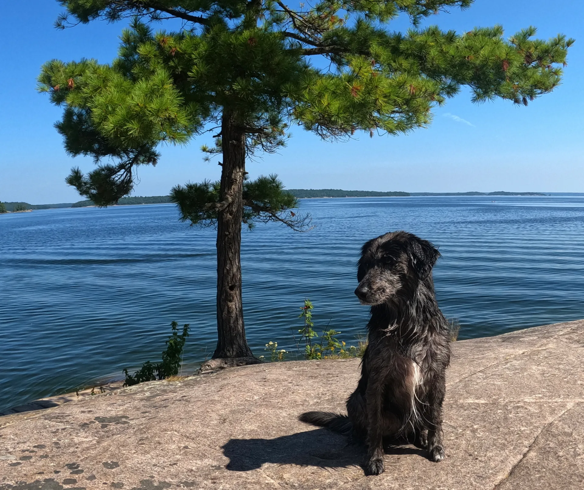 ChicoQuente | Published - MakerWorld