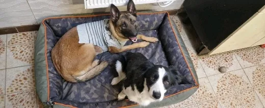 YaJo | Published - MakerWorld