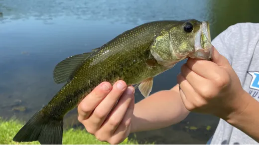 owentheprinter889 | Followers - MakerWorld