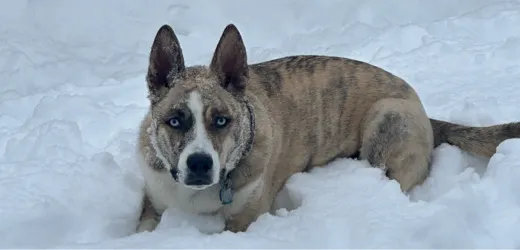 JMatrix | Hem - MakerWorld