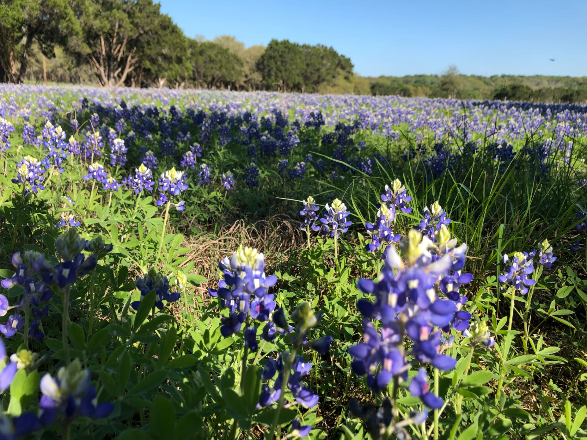 Uncle Odin | Home - MakerWorld