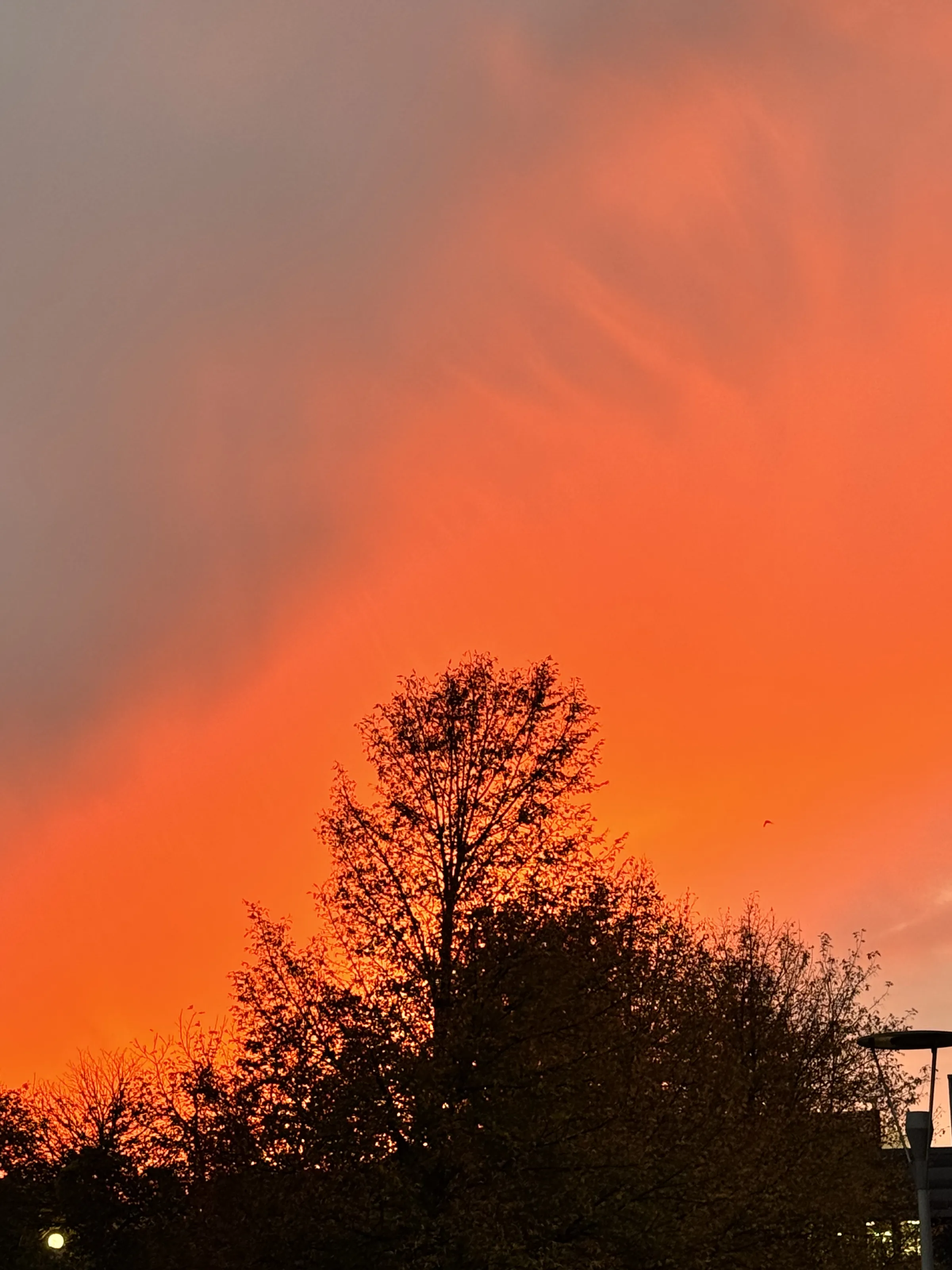 ModelerMold31415 | Início - MakerWorld