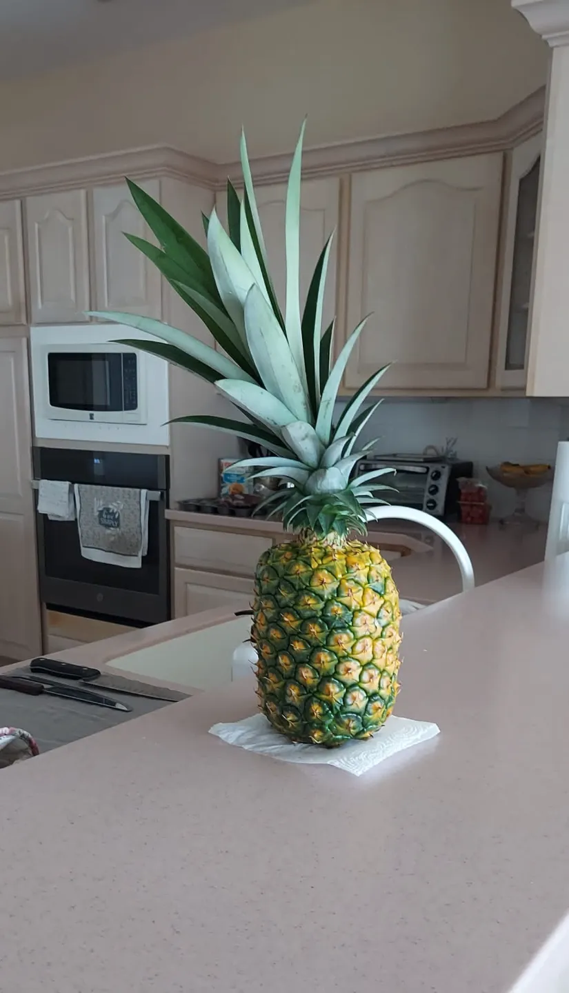 MiniManufacturing | Published - MakerWorld