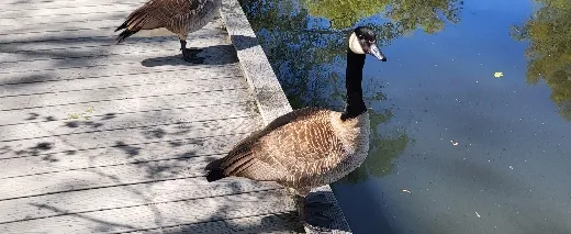 SporkLord | Startseite - MakerWorld