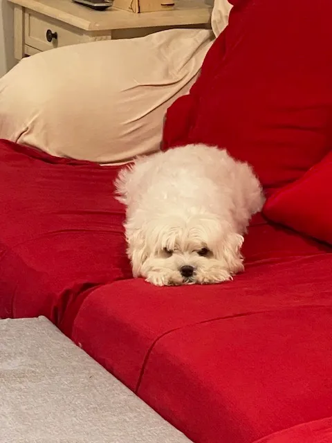 Ben | Published - MakerWorld