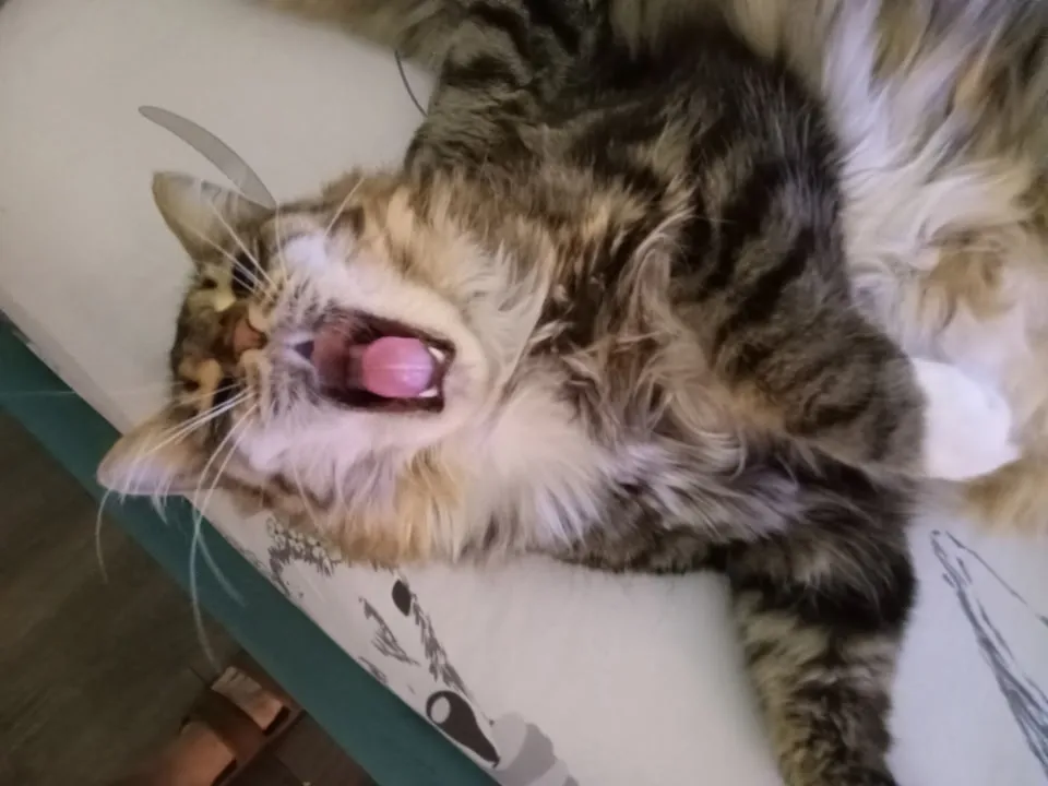 user.nori | Publicado - MakerWorld