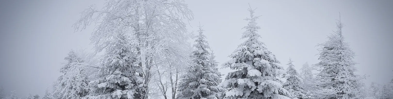 Vesrys | Home - MakerWorld