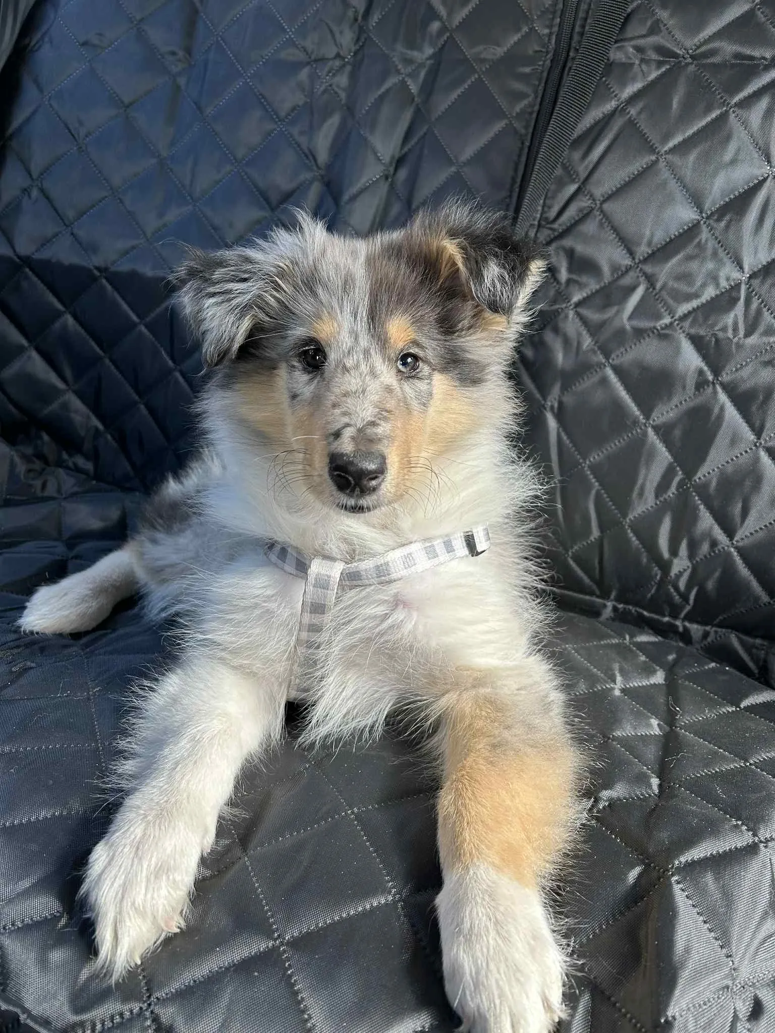 Frost | Publicado - MakerWorld