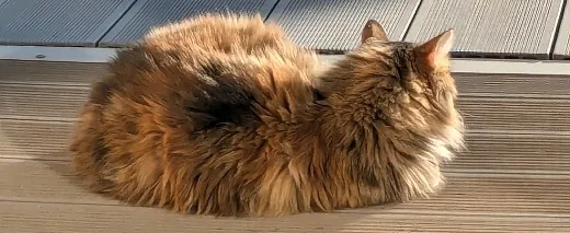 jer7230 | Accueil - MakerWorld